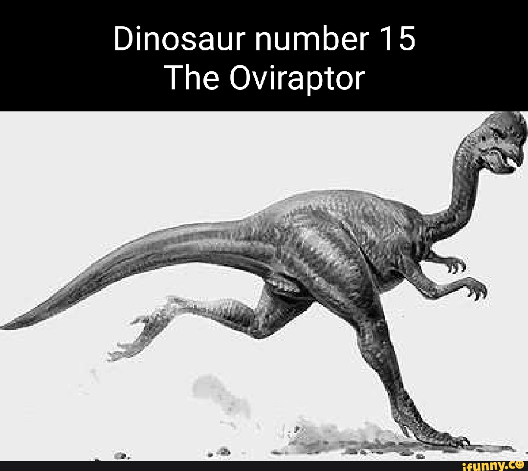 Oviraptor memes. Best Collection of funny Oviraptor pictures on iFunny