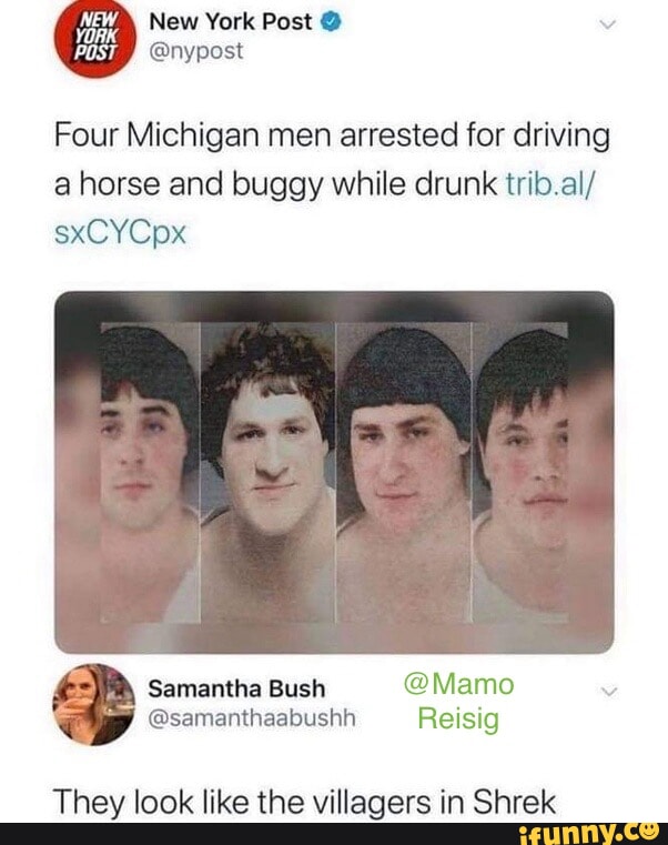 Shrek memes. Best Collection of funny Shrek pictures on iFunny