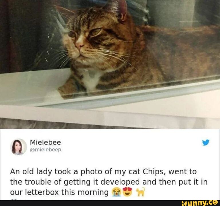 Letterbox memes. Best Collection of funny Letterbox pictures on iFunny