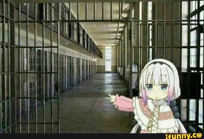 Jail Girl Memes