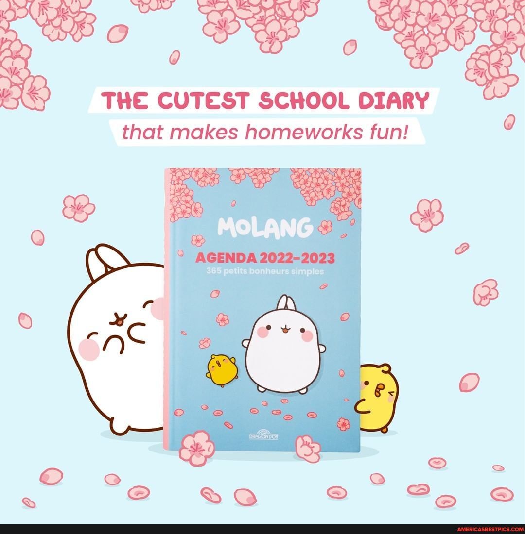 THE CUTEST SCHOOL OIARY that makes homeworks fun! MOLANG petits ...