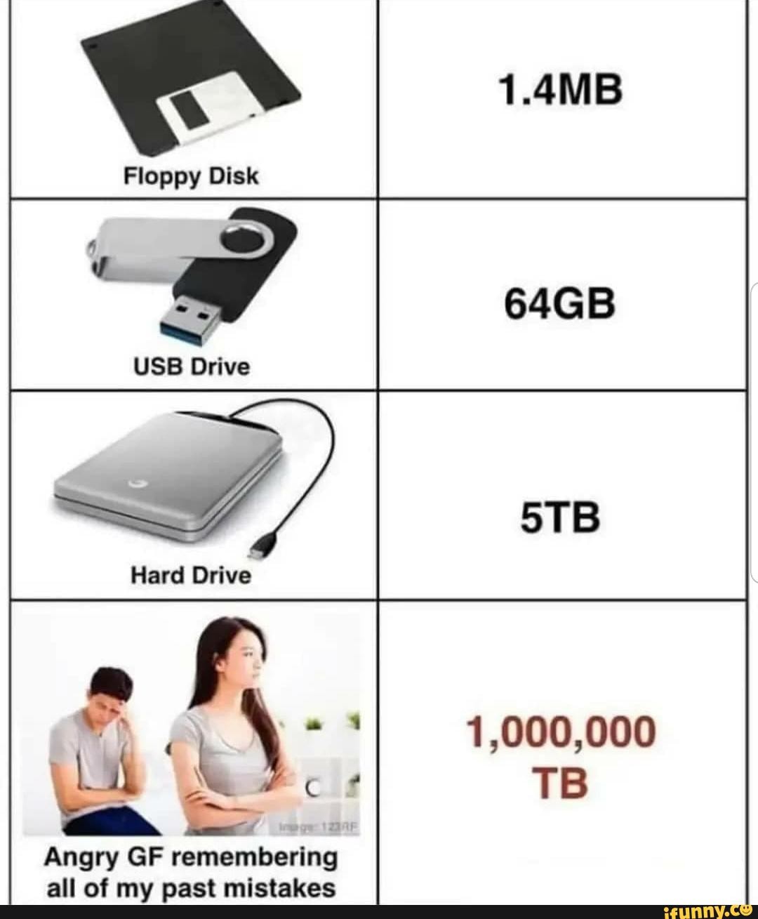 1.4MB Floppy Disk USB Drive Hard Drive 1,000,000 TB Bee Angry GF ...