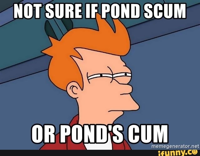 Ponds memes. Best Collection of funny Ponds pictures on iFunny