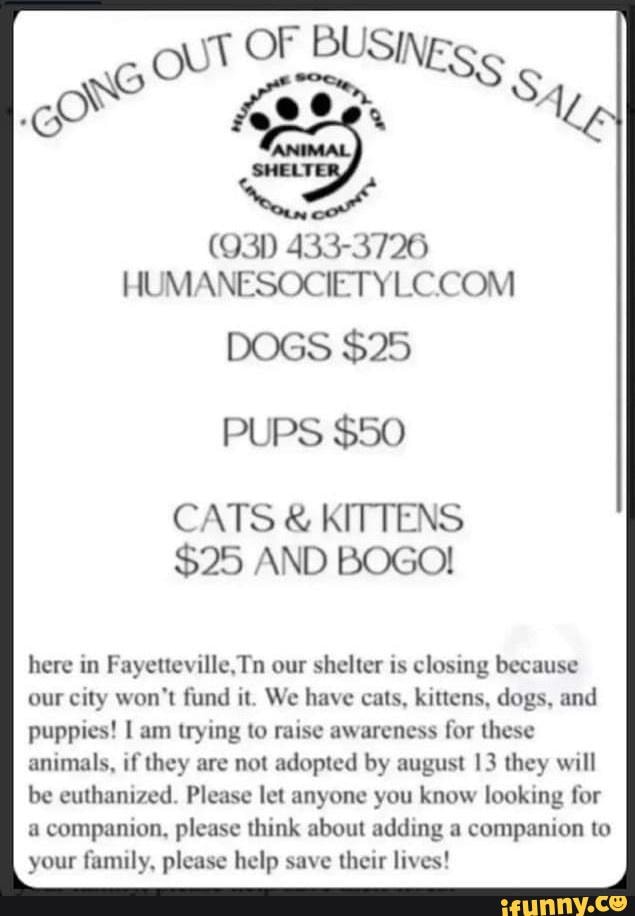 Bogo memes. Best Collection of funny Bogo pictures on iFunny