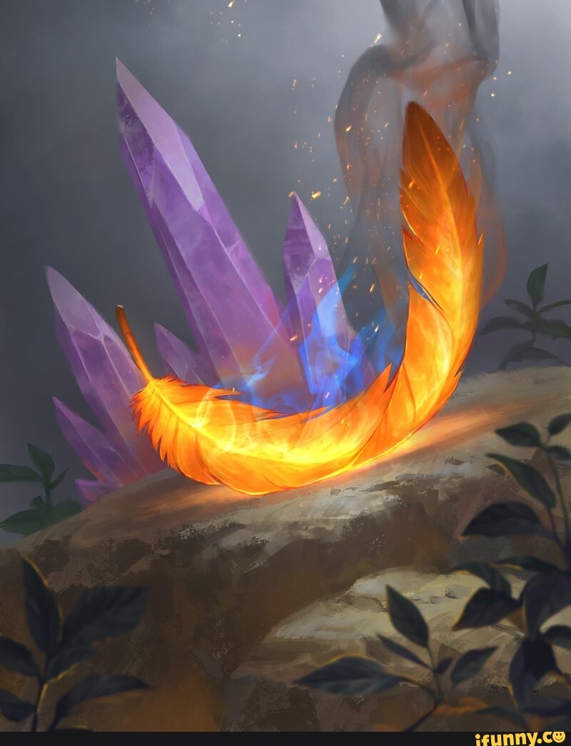 Feather memes. Best Collection of funny Feather pictures on iFunny