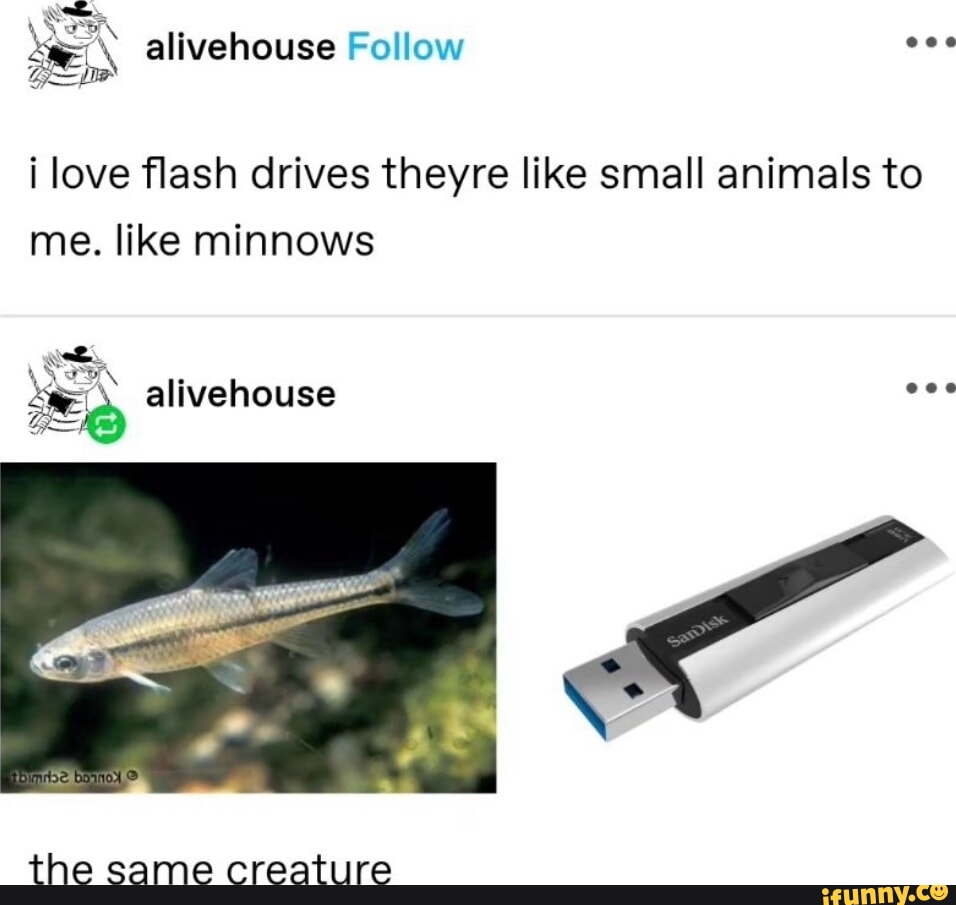 Textpost memes. Best Collection of funny Textpost pictures on iFunny