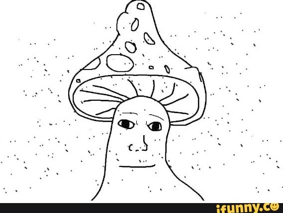 Shrooming memes. Best Collection of funny Shrooming pictures on iFunny