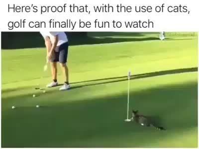 Here’s proof that, With the use of cats, golf can finaﬂy be fun to ...
