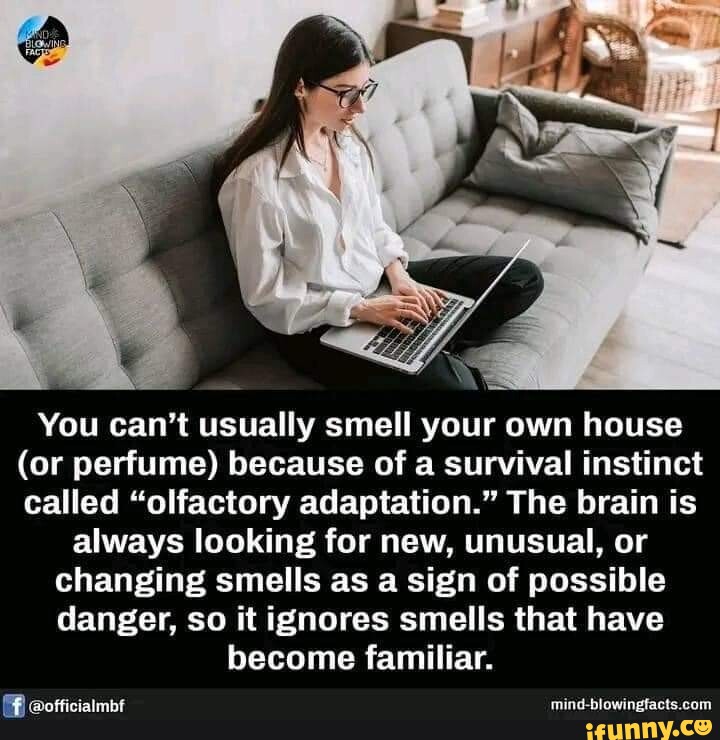 Olfactory memes. Best Collection of funny Olfactory pictures on iFunny