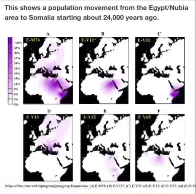 This shows a population movement from the area to Somalia starting ...