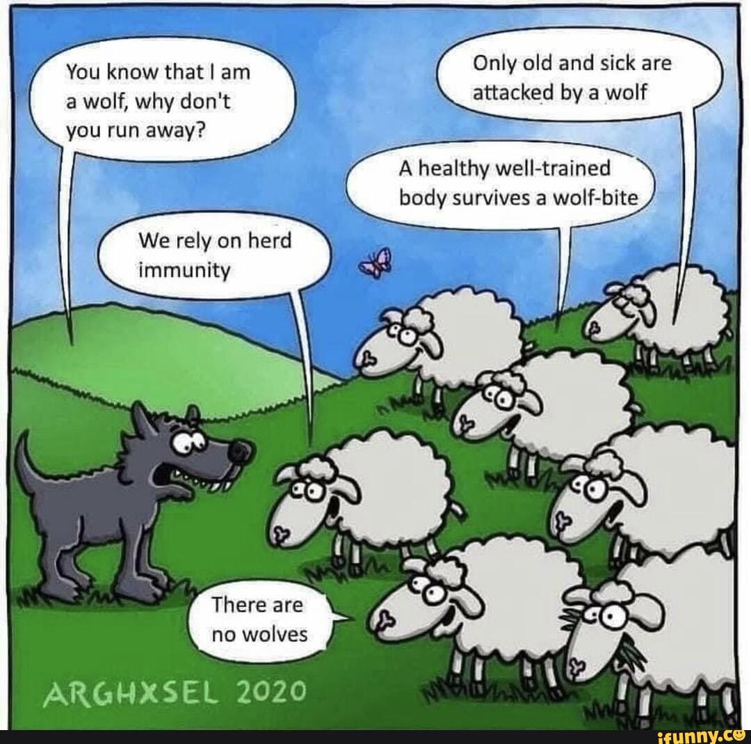 Only old and sick are attacked by a wolf You know that I am a wolf, why ...