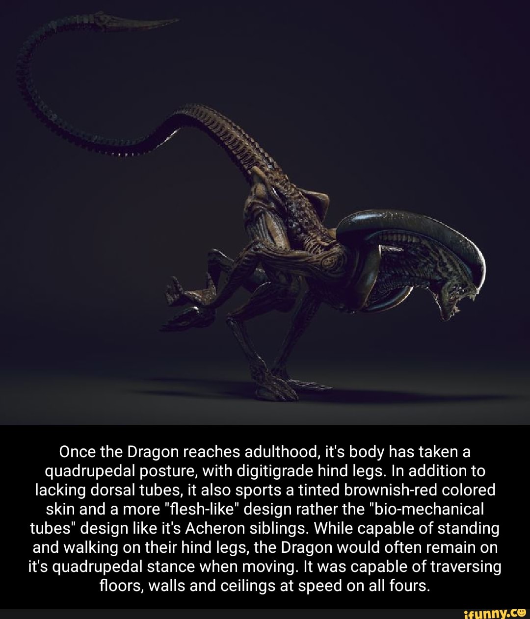Digitigrade memes. Best Collection of funny Digitigrade pictures on iFunny