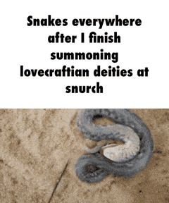 Snakes everywhere after I finish summoning lovecraftian deities at ...