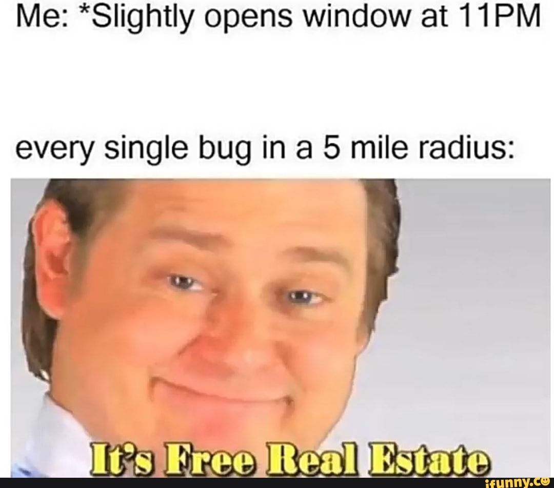 Me: *Slightly opens window at 11PM every single bug in a 5 mile radius ...