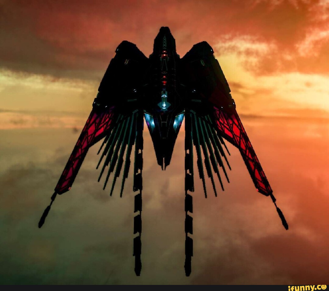 Talon memes. Best Collection of funny Talon pictures on iFunny