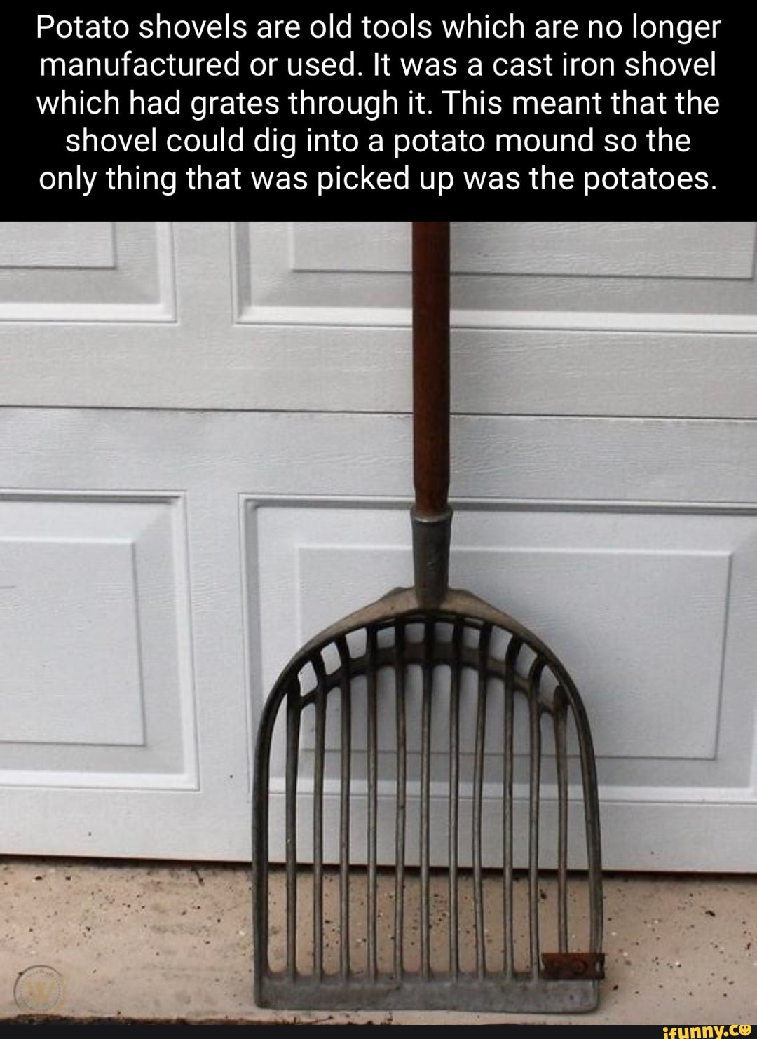 Potato shovel store