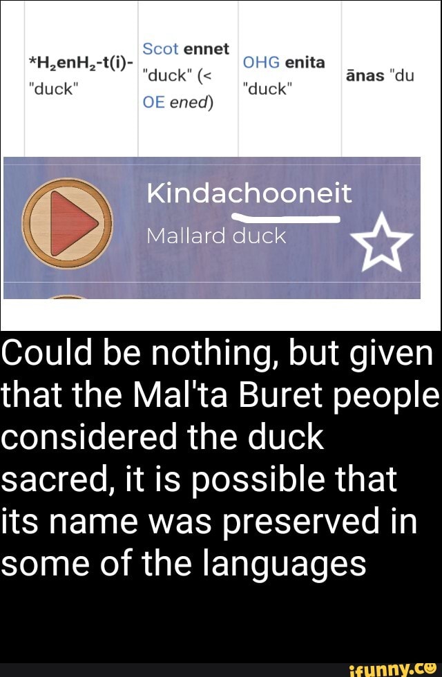 Buret memes. Best Collection of funny Buret pictures on iFunny
