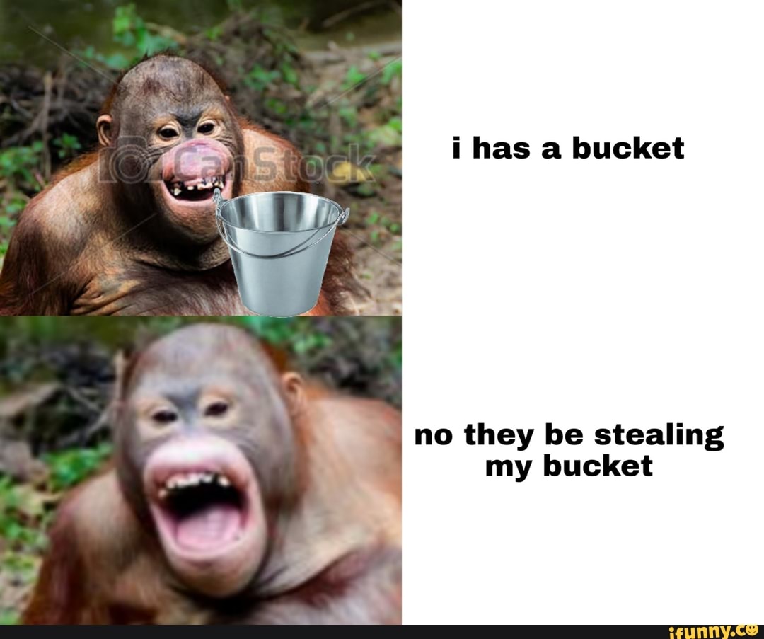 I has a bucket no they be stealing my bucket - iFunny
