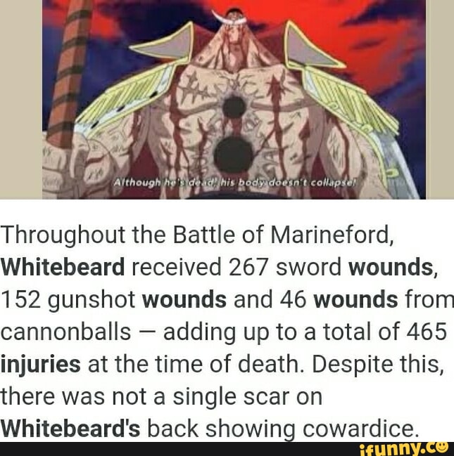 Throughout the Battle of Marineford, Whitebeard received 267 sword ...
