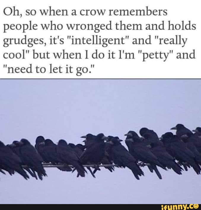 Grudges memes. Best Collection of funny Grudges pictures on iFunny