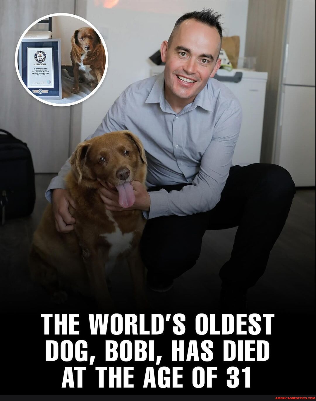 Bobi, the world's oldest dog, passed away on Oct. 21 at 31 years and ...