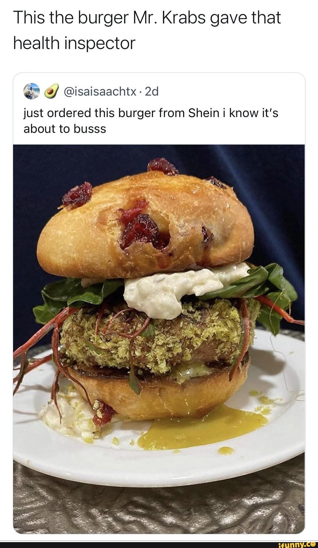 Best Cosplay ever - This the burger Mr. Krabs gave that health ...