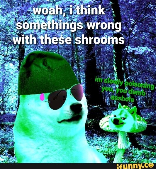 Shrooms memes. Best Collection of funny Shrooms pictures on iFunny