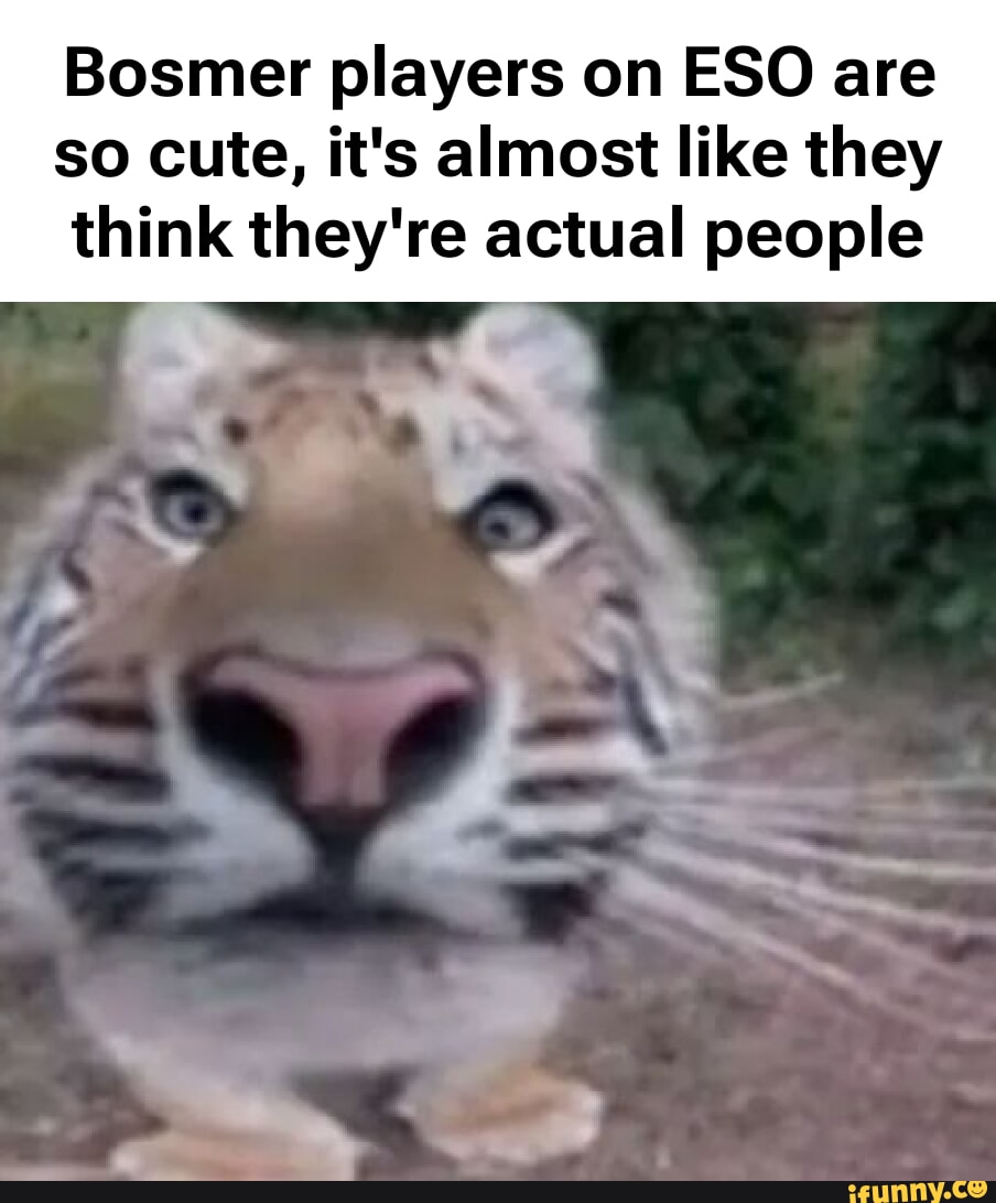 Eso memes. Best Collection of funny Eso pictures on iFunny