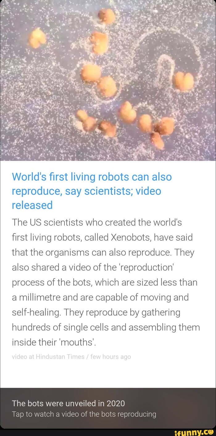 World's first living robots can also reproduce, say scientists; video released The US scientists ...
