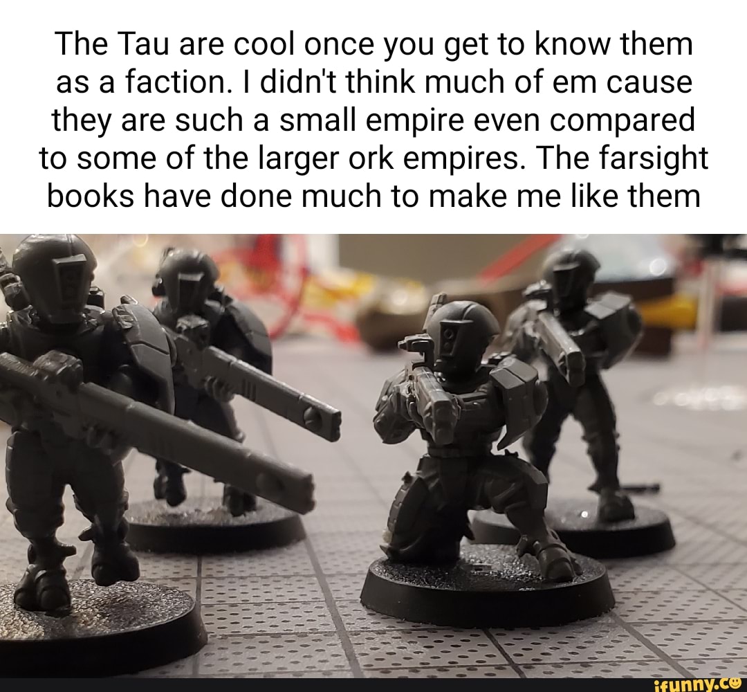 The Tau are cool once you get to know them as faction. I didn't think ...