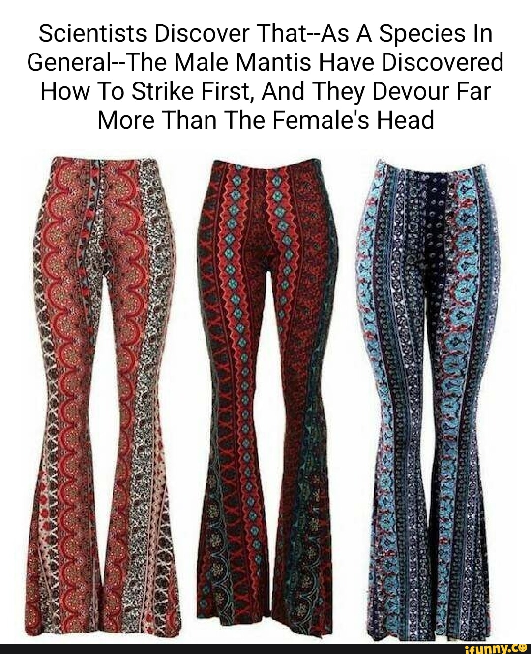 Mantis memes. Best Collection of funny Mantis pictures on iFunny