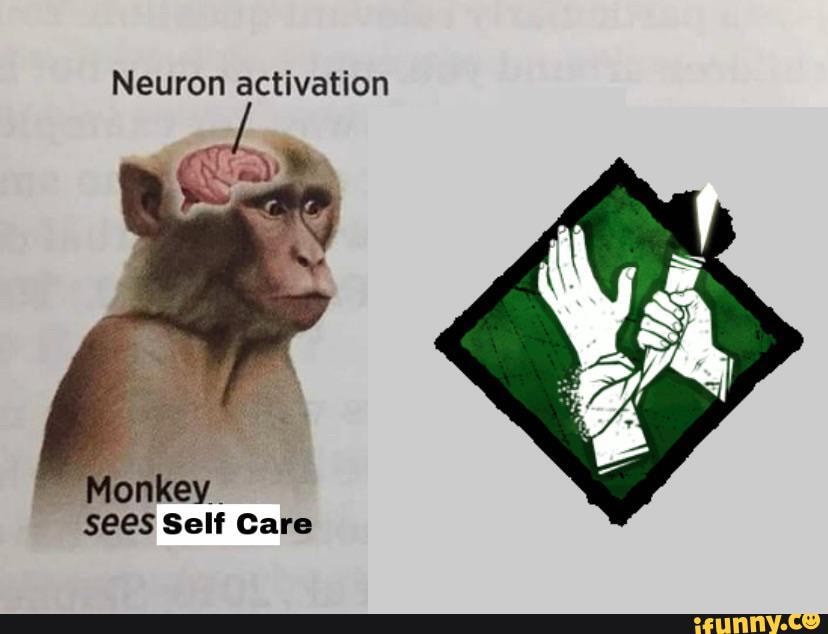 Neuron activation Monkey_ Self Care - iFunny