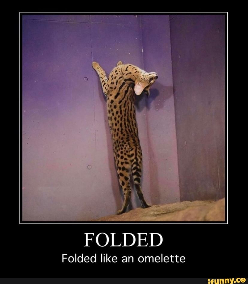 FOLDED Folded like an omelette - iFunny