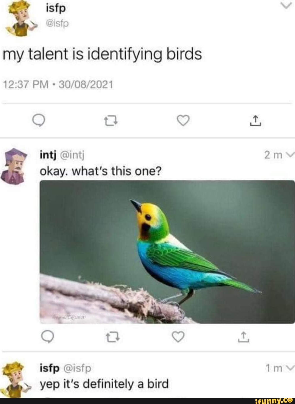 Isfp memes. Best Collection of funny Isfp pictures on iFunny