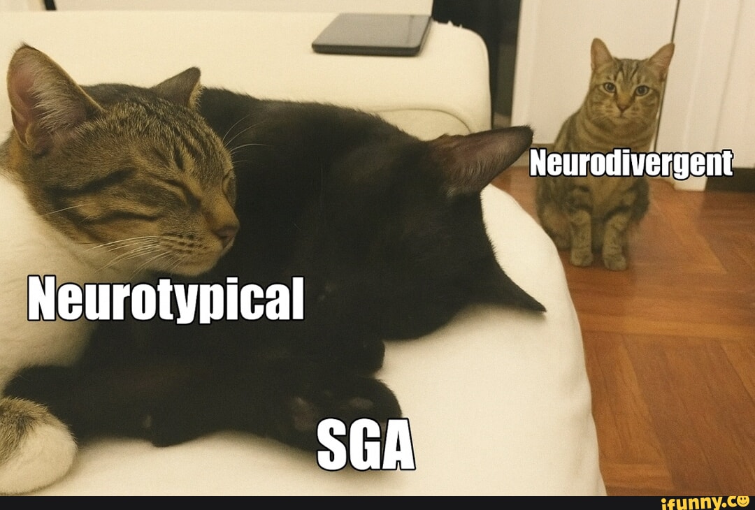 Neurodivergent memes. Best Collection of funny Neurodivergent pictures ...