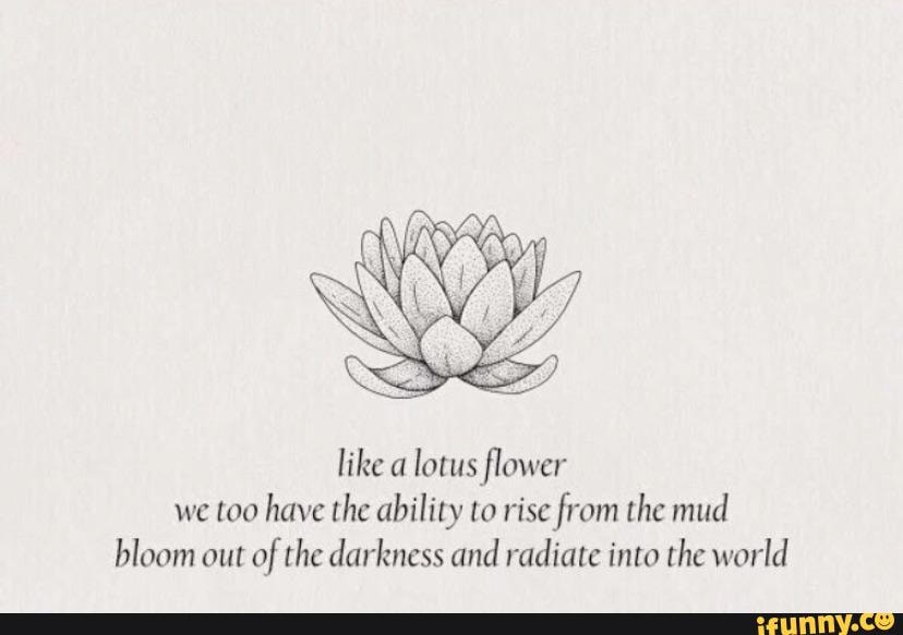 Like a lotus flower we too have the ability to rise from the mud bloom ...