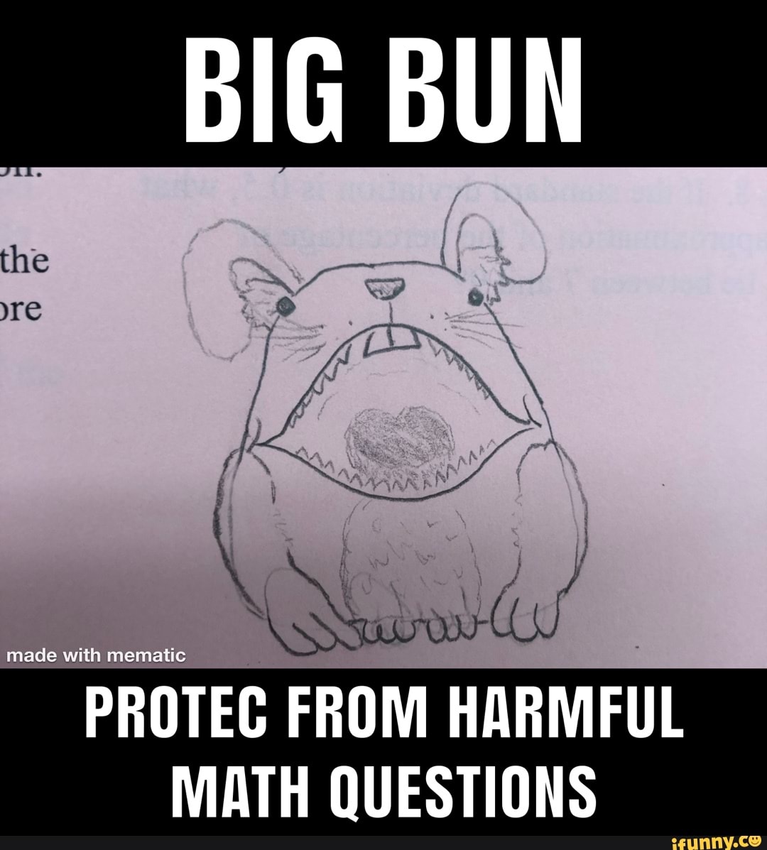 BIG BUN the re SS made witt PROTEC FROM HARMFUL MATH QUESTIONS - iFunny