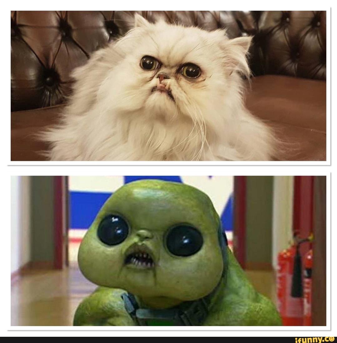 Slitheen memes. Best Collection of funny Slitheen pictures on iFunny