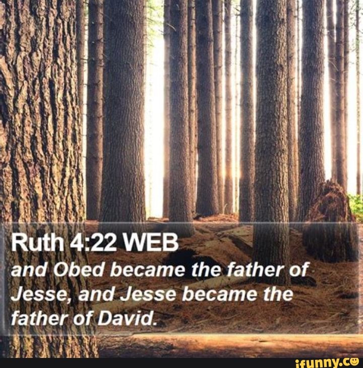 Ruth WEB and Obed became the father of Jesse. and Jesse became the ...
