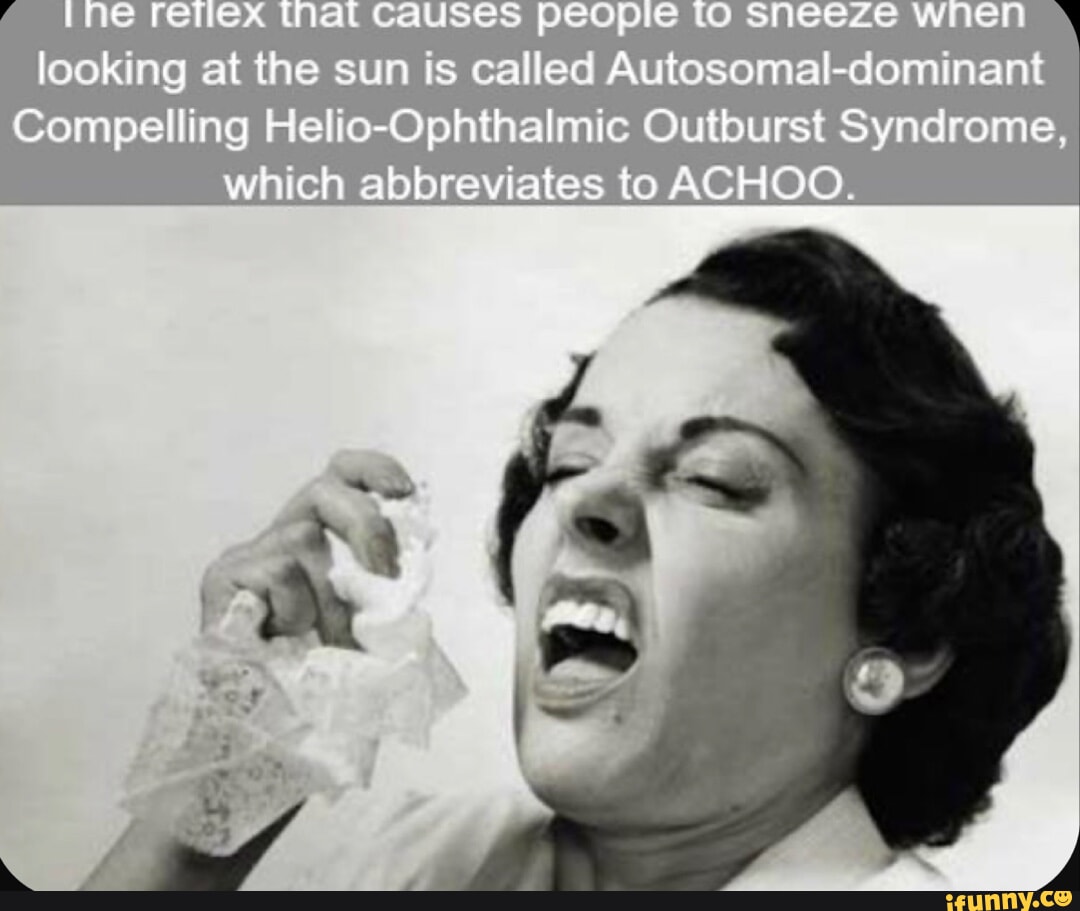 Achoo memes. Best Collection of funny Achoo pictures on iFunny