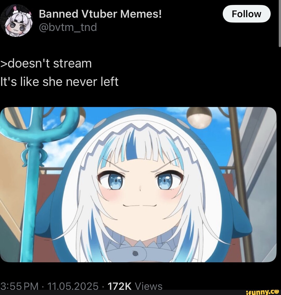 Se Banned Vtuber Memes! @bvim_tnd >doesn't stream It's like she never ...