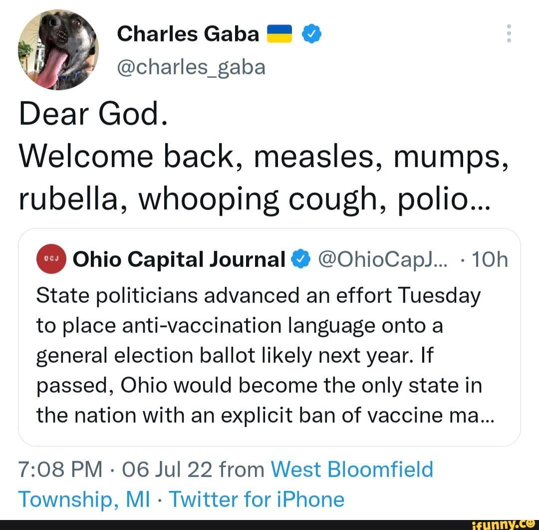 Gaba memes. Best Collection of funny Gaba pictures on iFunny