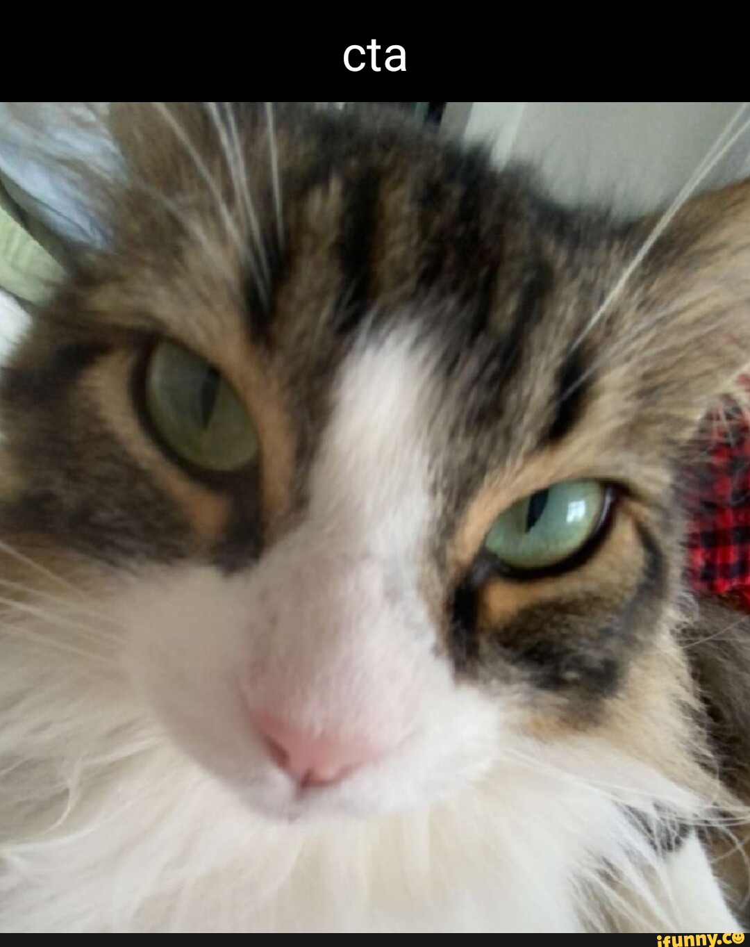 Cta memes. Best Collection of funny Cta pictures on iFunny