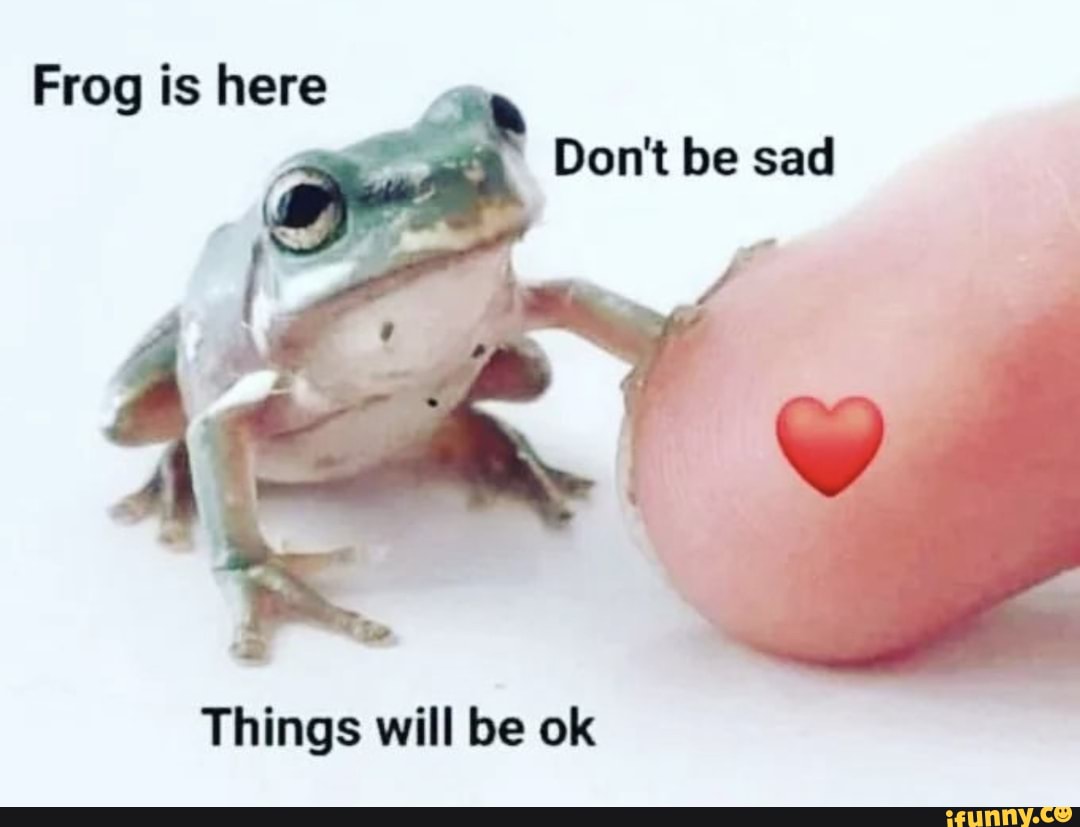Frog is here Don't be sad le Things will be ok - iFunny