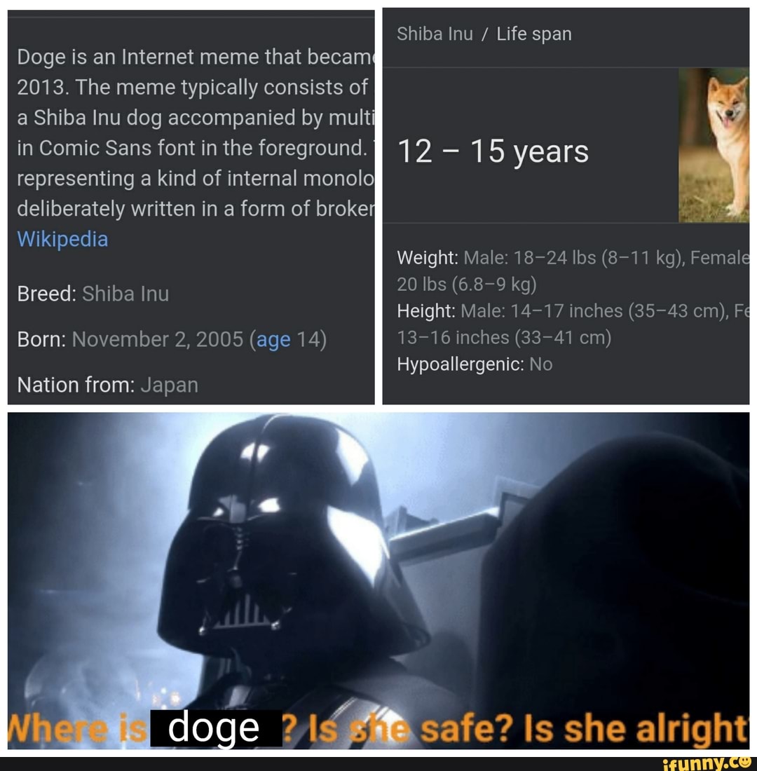 Doge is an Internet meme that becam 2013. The meme typically consists ...