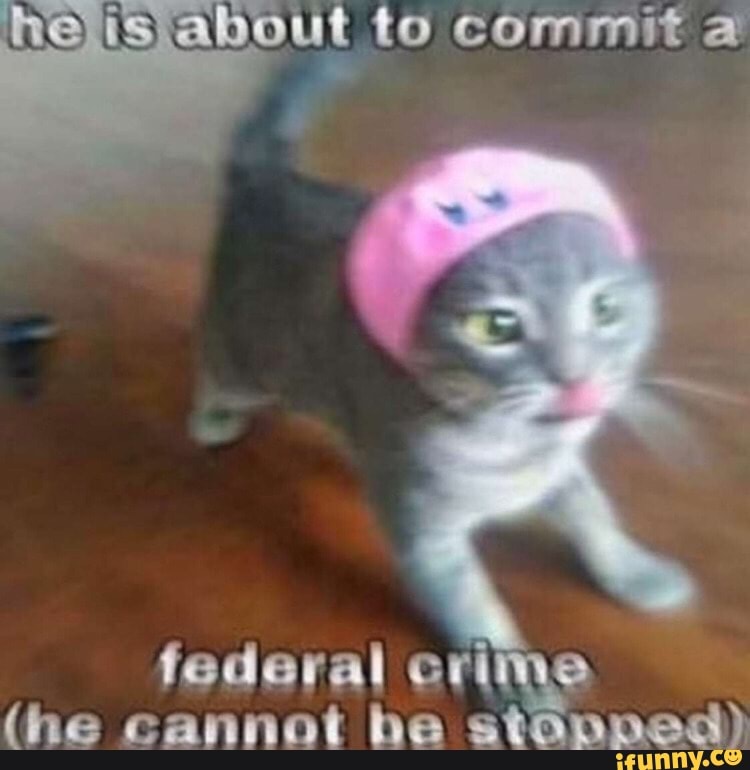 Commit memes. Best Collection of funny Commit pictures on iFunny