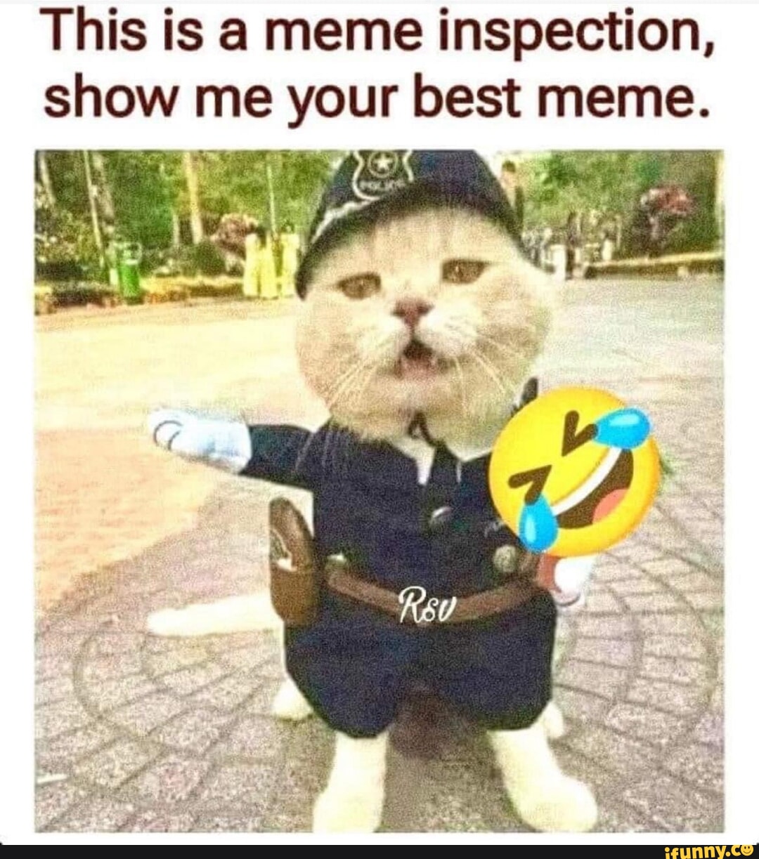 This is a meme inspection, show me your best meme. - iFunny