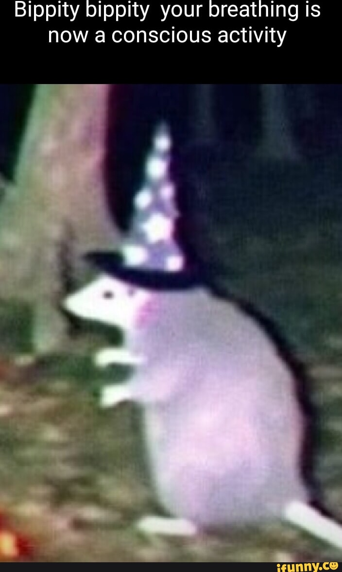 Bippity memes. Best Collection of funny Bippity pictures on iFunny