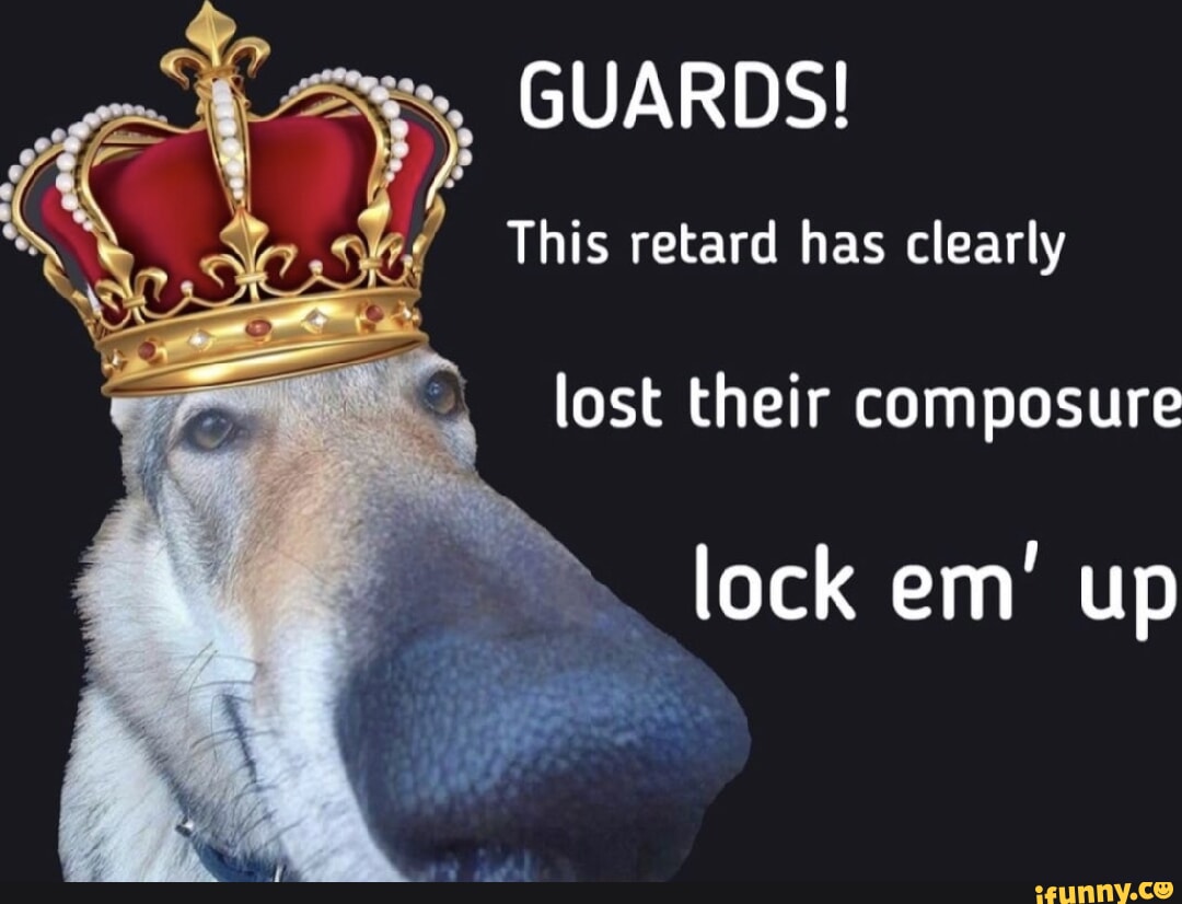 GUARDS! This retard has clearly lost their composure lock em' up - iFunny