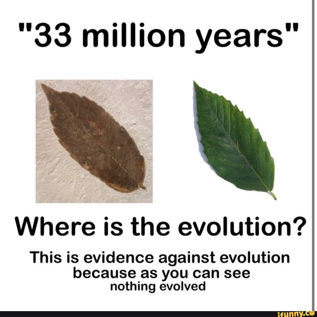 "33 million years" Where is the evolution? This is evidence against ...